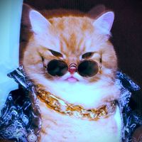 LORD HXSH - ULTRA MIAU MIAU | TikTok